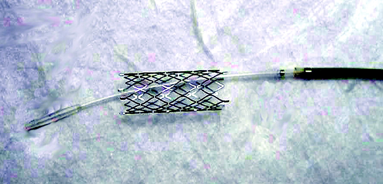 FDA Ignores Evidence, Keeps Dangerous Device on the Market